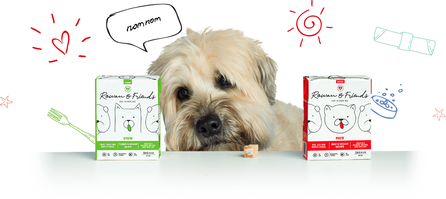 For dogs – Rowan & Friends