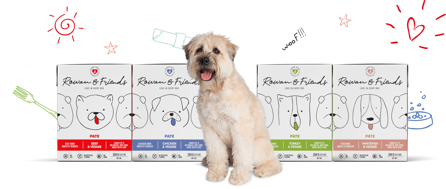 Pates for dogs – Rowan & Friends